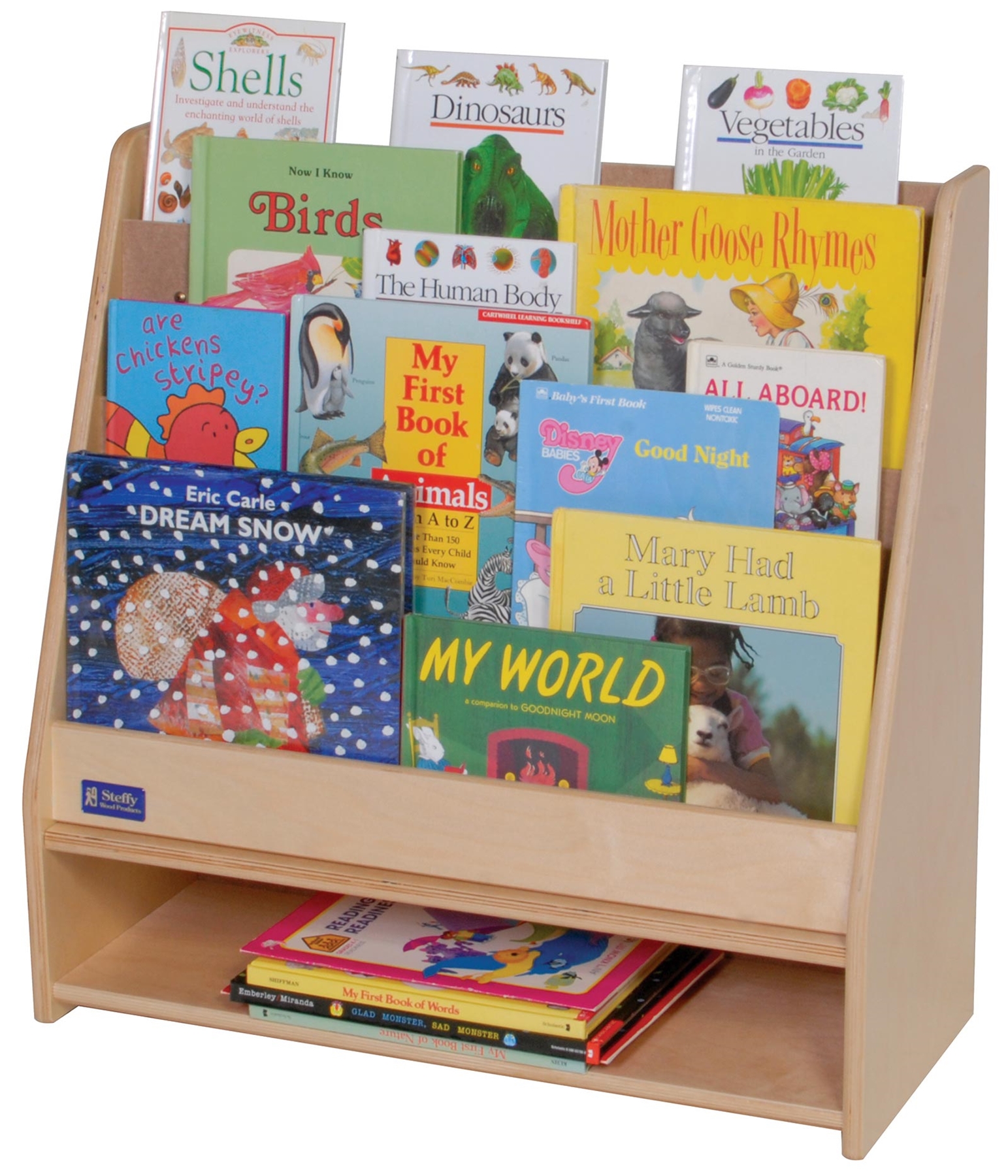 Harrison2Inspire-Toddler Book Display