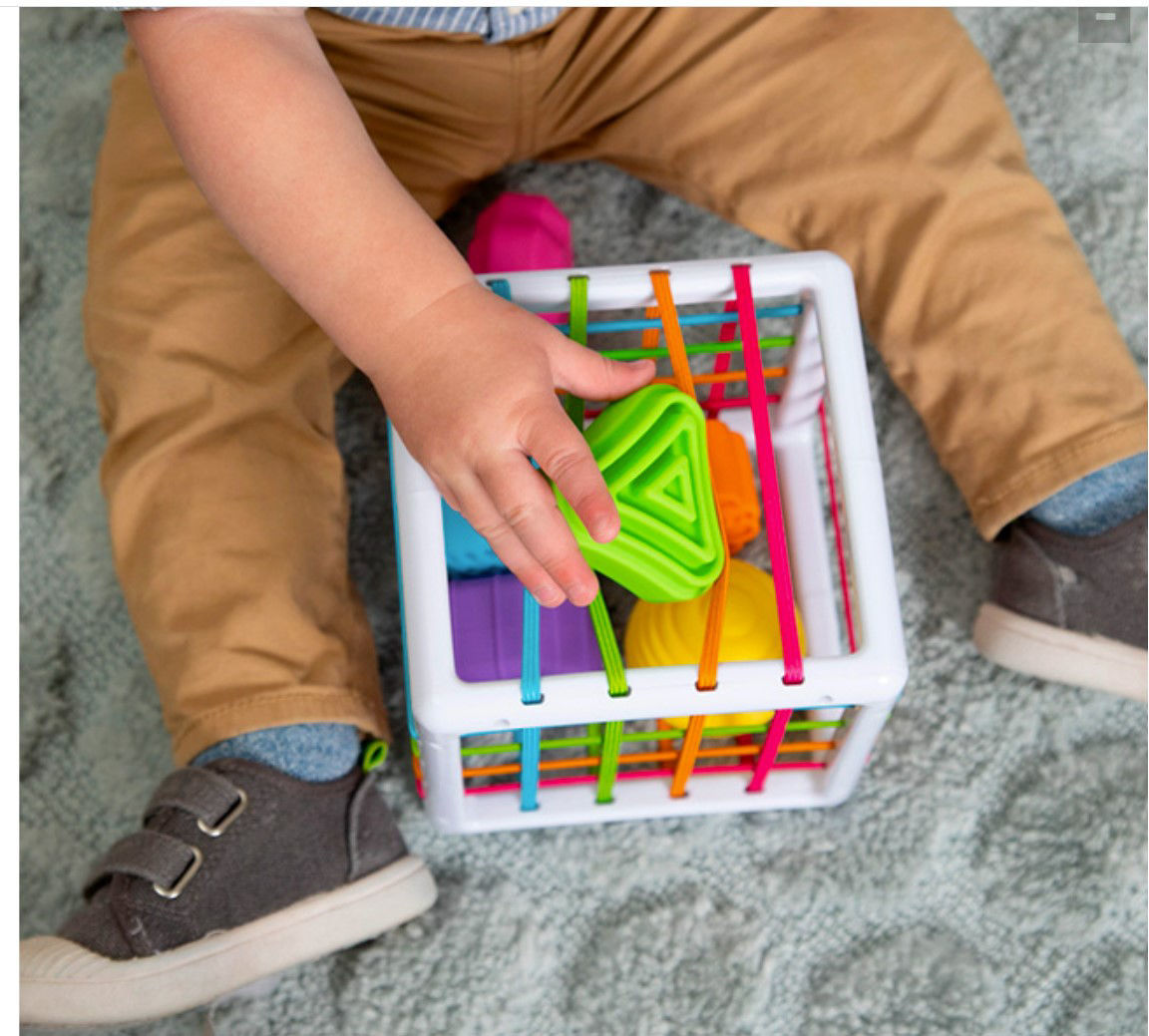 Harrison2Inspire-Inny Binnie Chunky Bin Shape Sorter . Ages 6 months